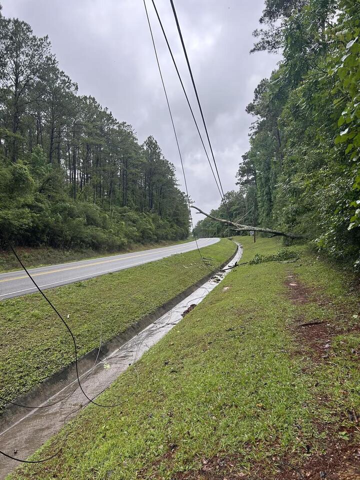 UPDATE: Baldwin EMC says power outages along Highway 225 caused by tree ...