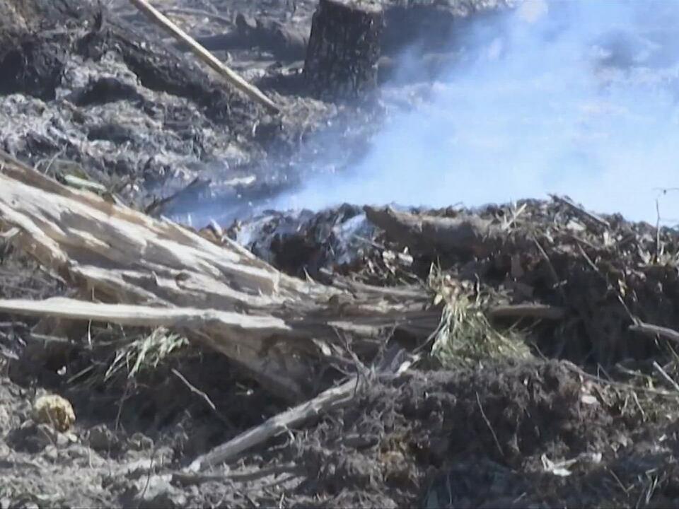 ADEM burn ban affects Alabama Counties