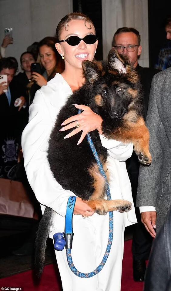 Sydney Sweeney berated over 'cruel' appearance with puppy as fans ...