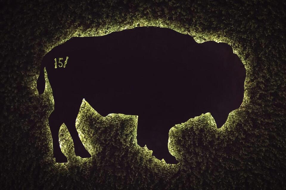 The Perfect Animal Companion for Every Earth Sign - NewsBreak