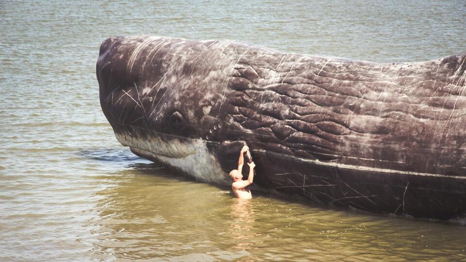 The strange animal discoveries that left scientists scratching their ...