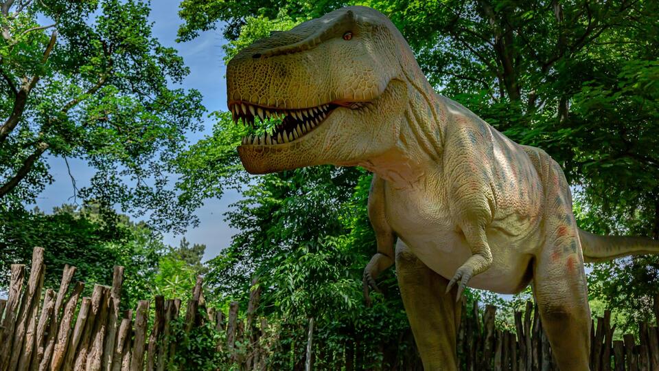 Barnum Brown The Cowboy Hatted Explorer Who Discovered T-Rex - NewsBreak