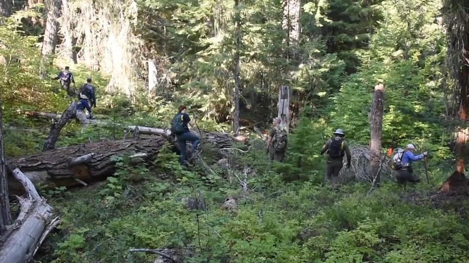 Search for Travis Decker yields no human bones, FBI confirms - NewsBreak