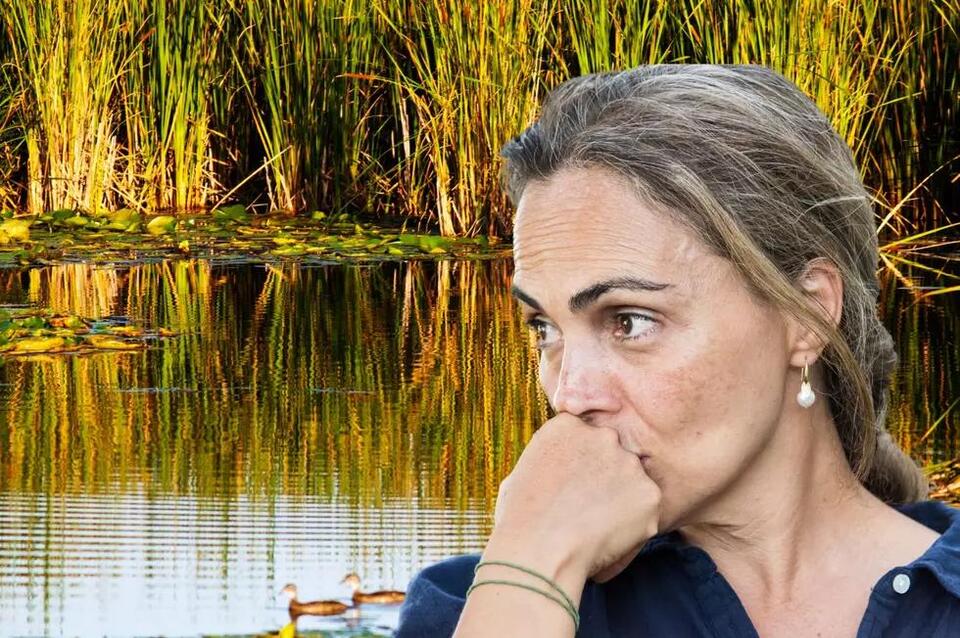 New York Adds 1 Million Acres of Wetlands, Sparking Concern Among ...