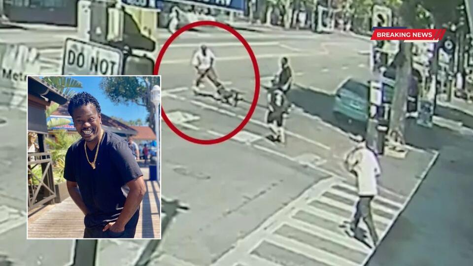 Man Fatally Stabbed on Hollywood Walk of Fame After Reported Dog Attack ...