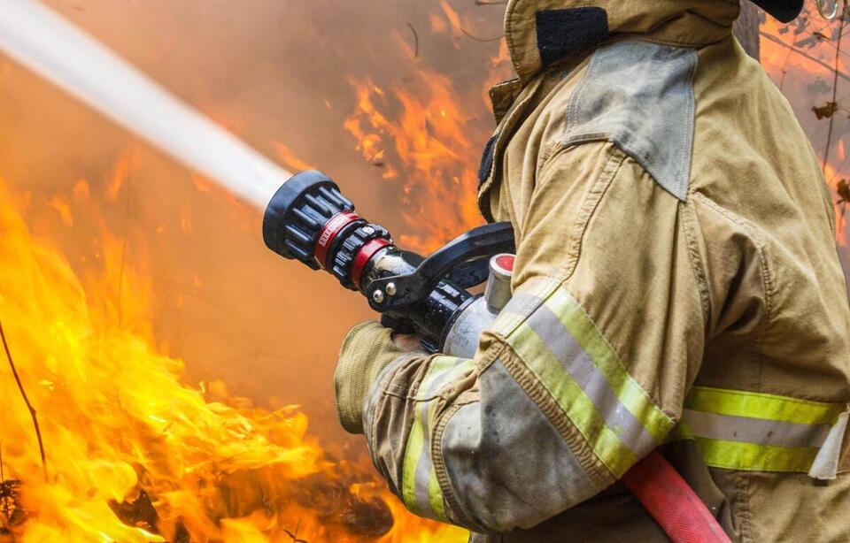 State of New Hampshire Bans Open Fires and Smoking in Woodlands as ...