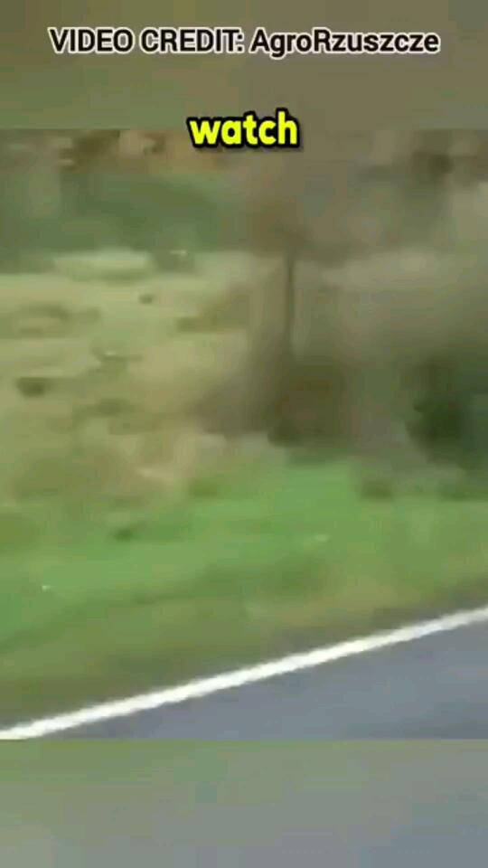 Brake Check Gets Funny Instant Karma! - NewsBreak