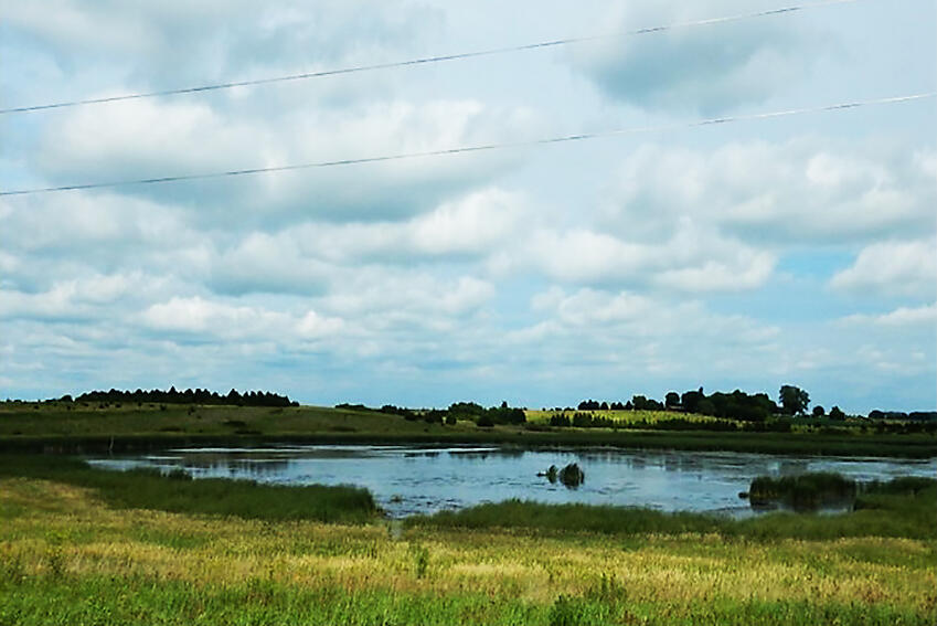 Building wetlands along waterways best option to deter runoff from ...