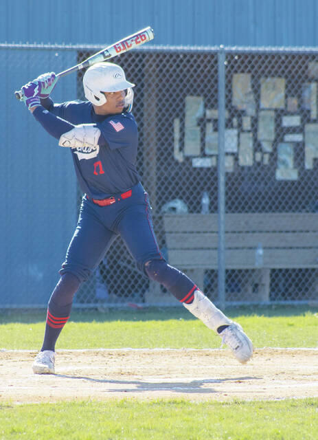 Pittston Area, Hazleton Area to decide WVC Division 1 baseball title ...