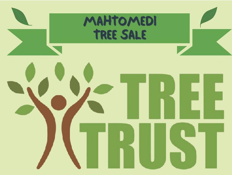 💰 Mahtomedi low-cost tree sale, order by August 28 - NewsBreak