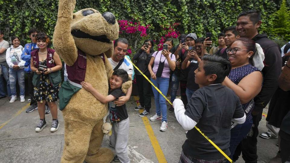 Meet Wisin — Mexico's latest viral meme and the 'puppy luchador ...