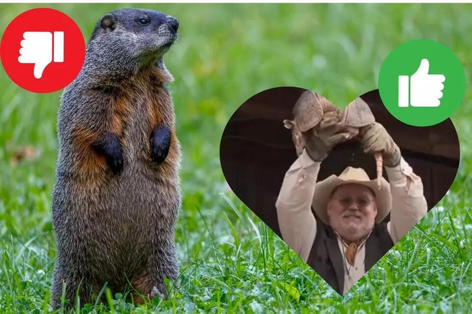 Forget the Groundhog—Texas Has Its Own Weather-Predicting Armadillo ...