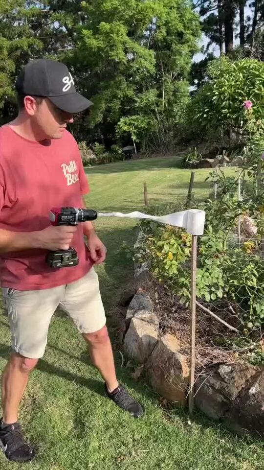 So this is where all of the toilet paper went toilet cars experiment ...