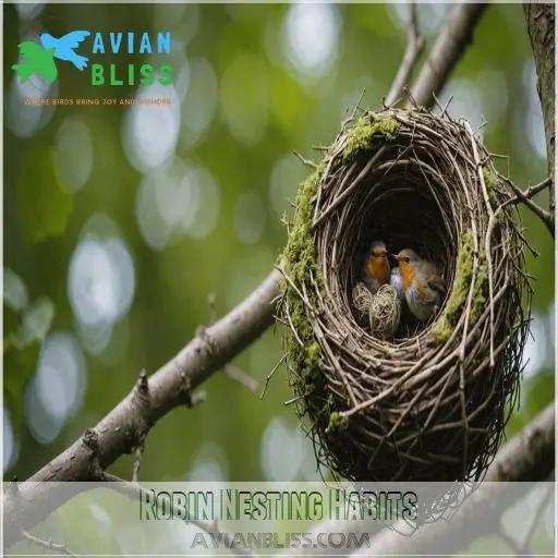 Do Robins Reuse Their Nests? Facts You Need to Know! (2024) - NewsBreak
