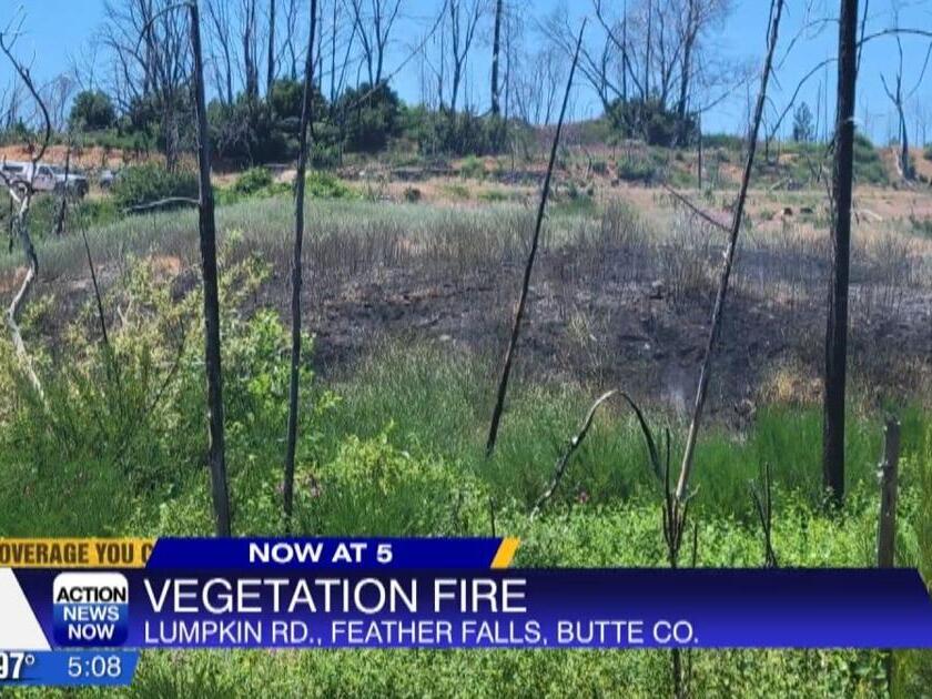 Crews stop forward spread of vegetation fire in Butte County