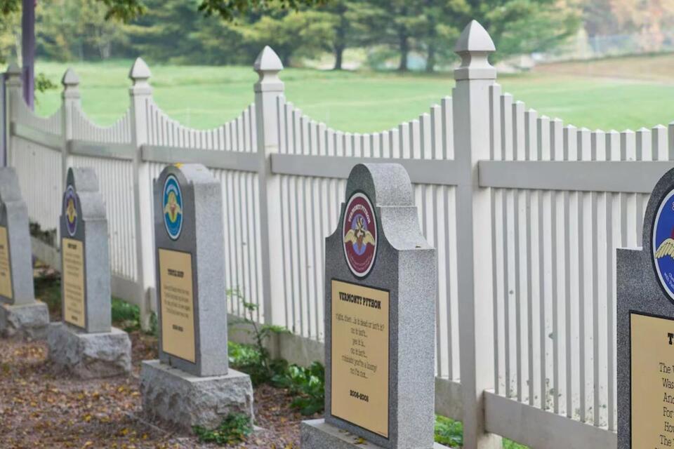 Did You Know Ben and Jerry’s Has an Ice Cream Cemetery? - NewsBreak