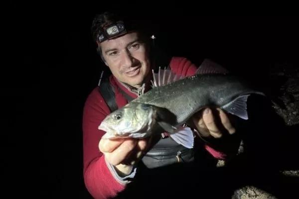 Night bass fishing, tips and tricks for successful sessions - NewsBreak