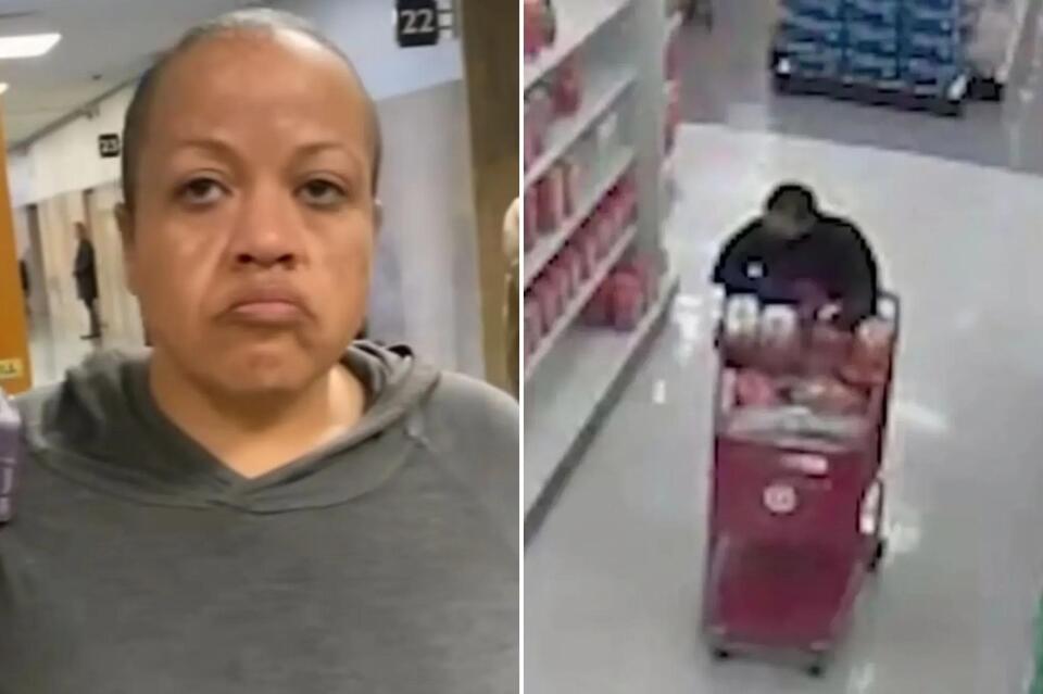 Target thief used self-checkout to steal over $60K in items over 120 ...