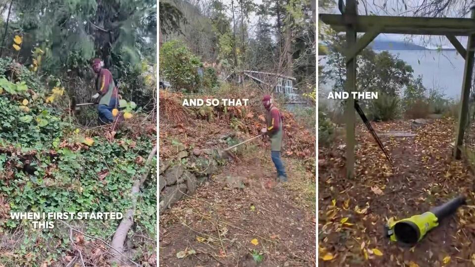 Man shares timelapse video after digging up hidden property feature ...