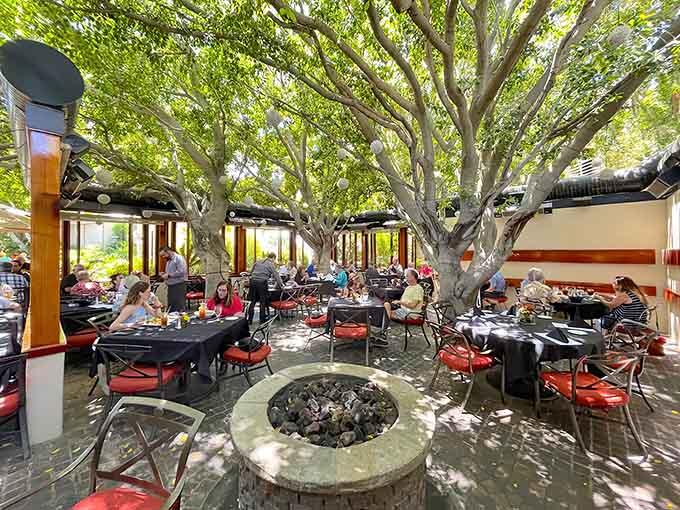 Eat Under A Breathtaking Canopy Of Trees At This One-Of-A-Kind ...