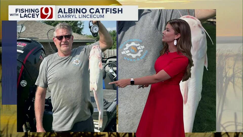Rare albino catfish reeled in from Verdigris River by Oklahoma man ...