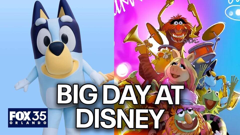 Bluey, Muppets Coaster open at Walt Disney World - NewsBreak