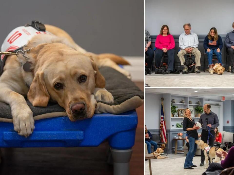 Guide Dog Graduation: Yorktown-Based Nonprofit Provides Pups To Homes ...