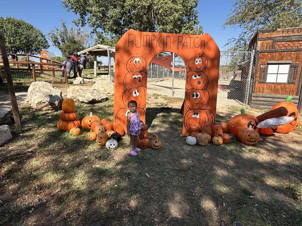 Boo at the Zoo Returns to Amarillo Zoo This October - NewsBreak