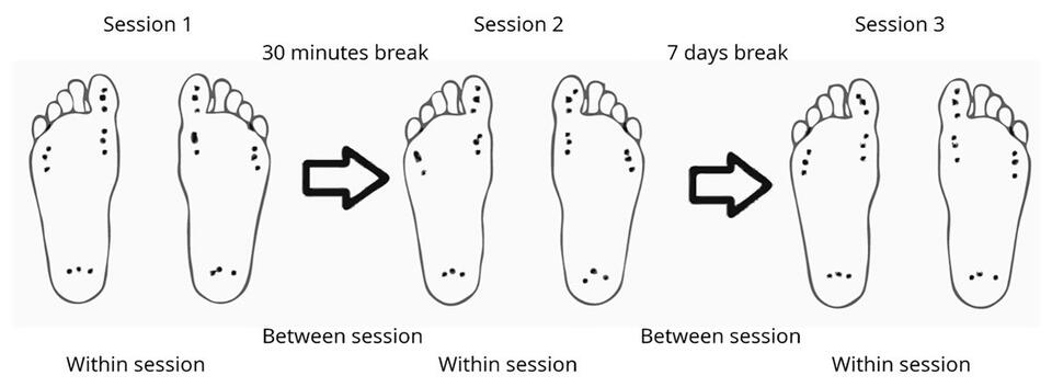 Reliability of the use of foot pressure pain threshold in adults: a ...