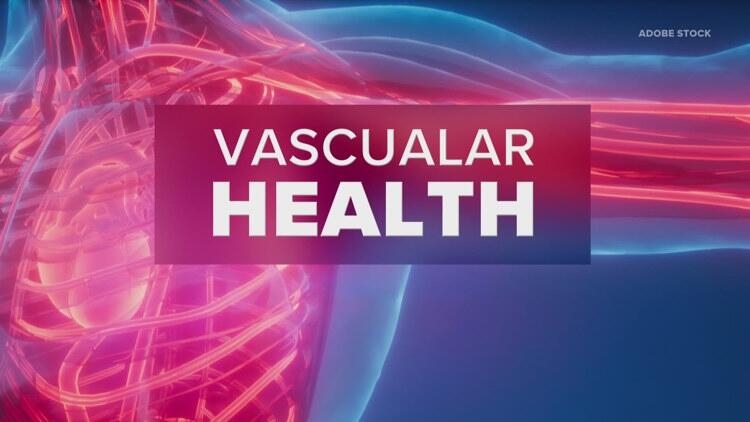 What You Need to Know About Vascular Health (Part 2) | 2 Your Well ...