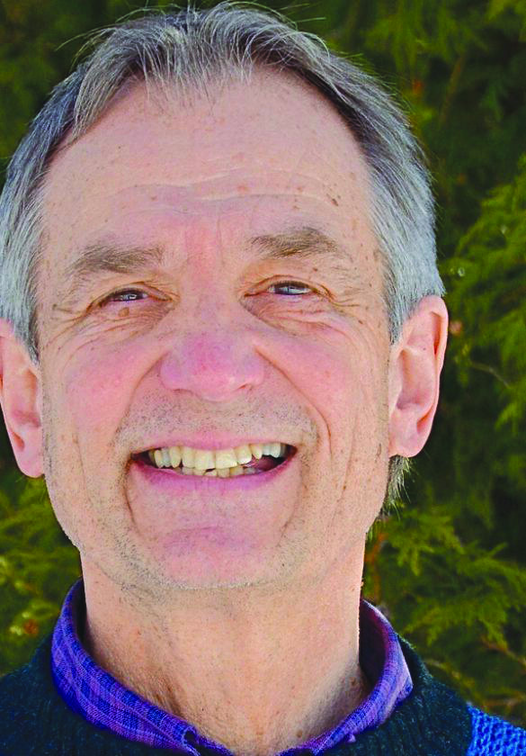 Christmas bird count time: Marquette, AuTrain counts reveal common ...