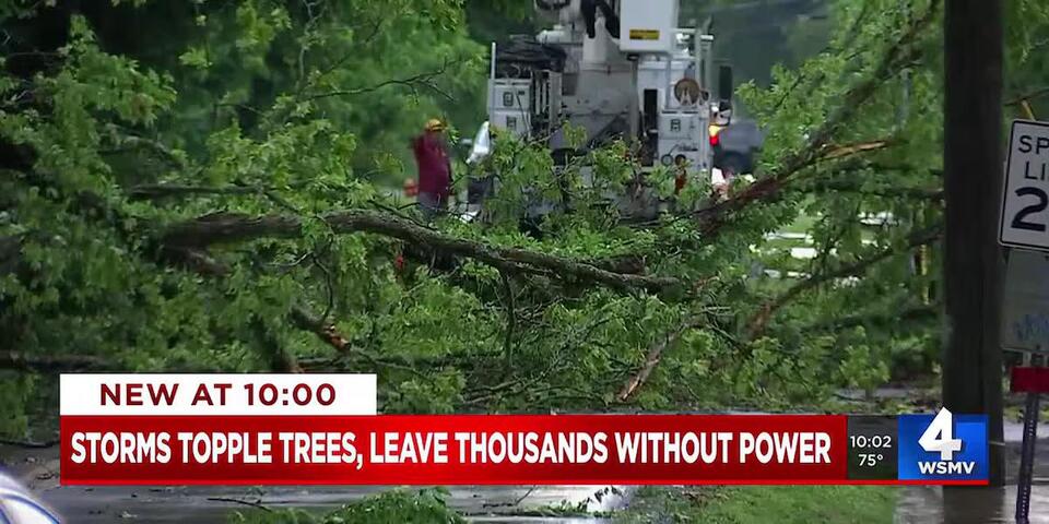 Downed trees, flooding after storms around Nashville - NewsBreak