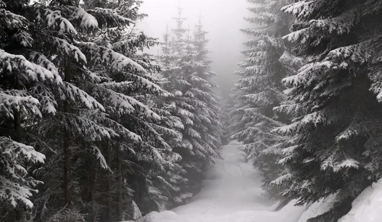 TWRA Announces Closure of Chuck Swan WMA & State Forest During ...