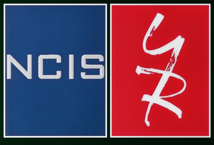 NCIS Alum Joins The Young And The Restless Cast - NewsBreak