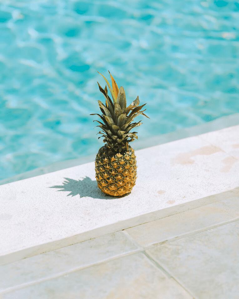 Can Dogs Eat Pineapples? - NewsBreak