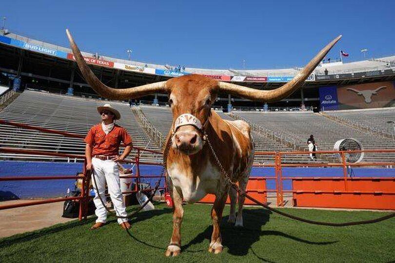 PETA issues plea over Cotton Bowl with live Texas Longhorns mascot set ...