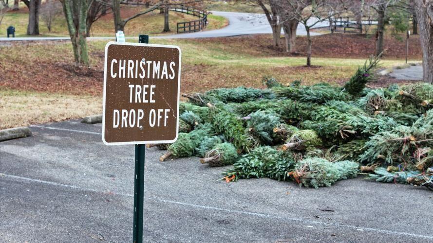 City of Alpena announces Christmas tree drop-off program - NewsBreak