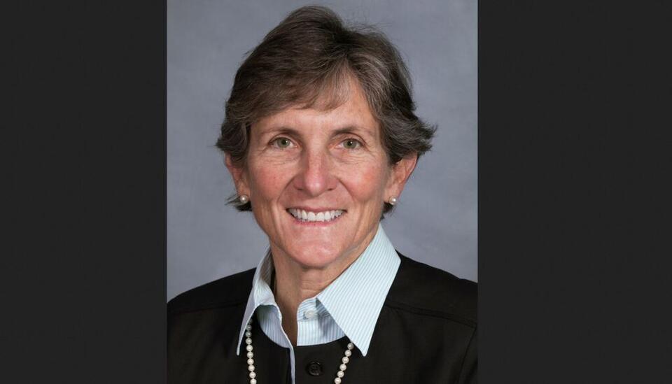 State Rep. Pricey Harrison on the climate crisis and lessons from ...