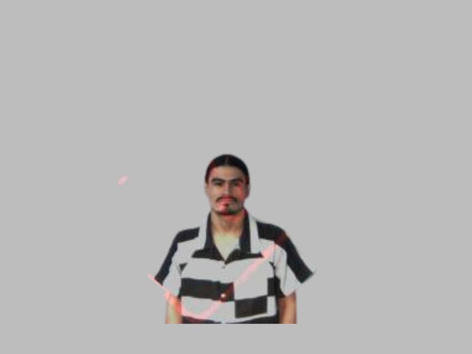 ICE detainer likely means deportation for man sentenced in Greene ...