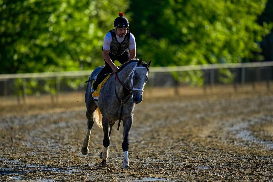Seize the Grey wins the Preakness for D. Wayne Lukas and ends Mystik ...