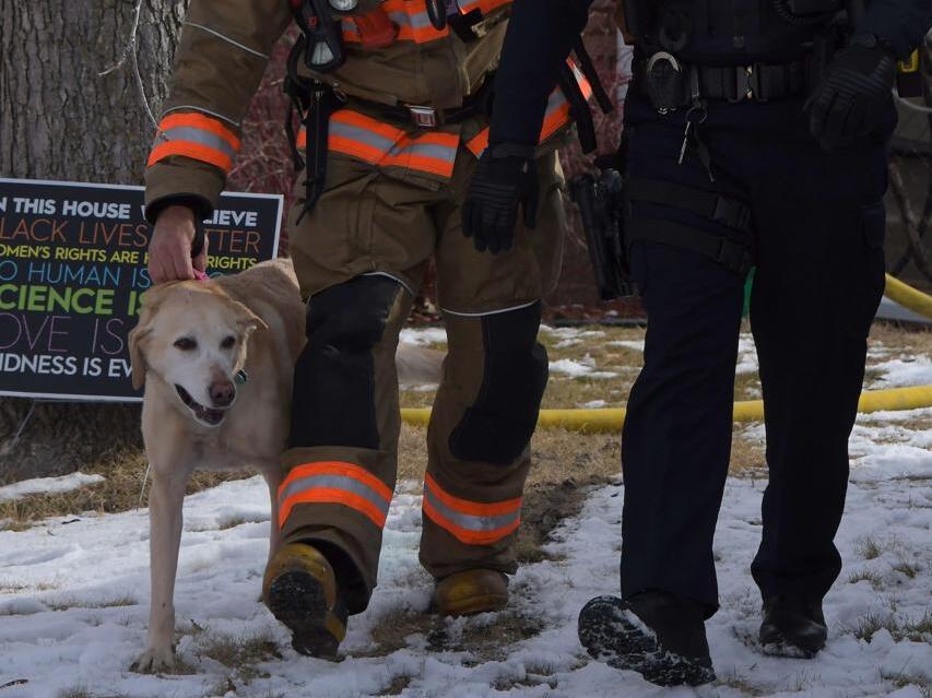Fire Suppression Tool from Slinger helps rescue 2 dogs from house fire ...