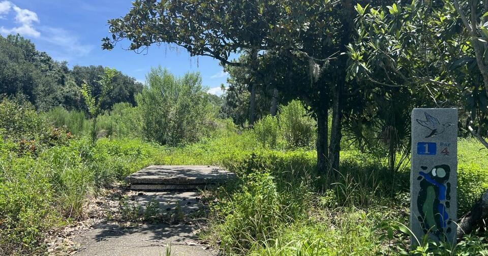 Judge sides with Hillsborough County; effort to develop Pebble Creek ...