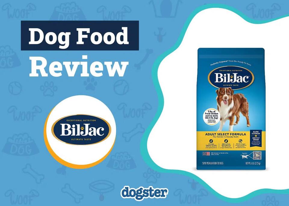 Bil-Jac Dog Food Review 2025: Recalls, Pros & Cons - NewsBreak