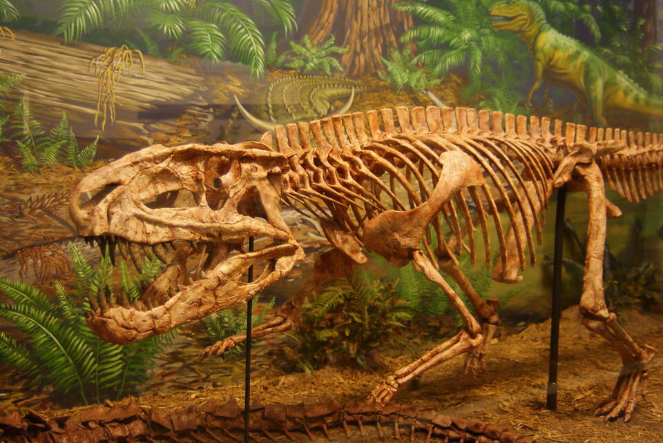 Dinosaurs Among Us: Springfield Science Museum’s Archosaurs Exhibit ...