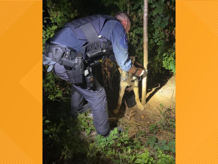 Police rescue dog tied to tree in Madison County