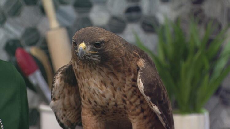 Celebrating National Zoo Lover's Day - NewsBreak