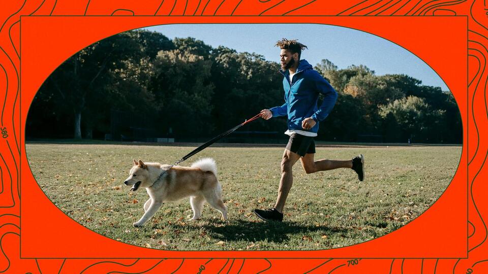 Should You Run with Your Dog? 6 Things to Consider - NewsBreak