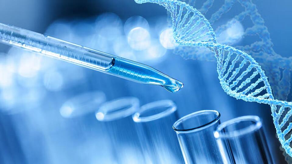 Roche and Innovent to Collaborate on Novel SCLC-Targeted ADC in Deal ...