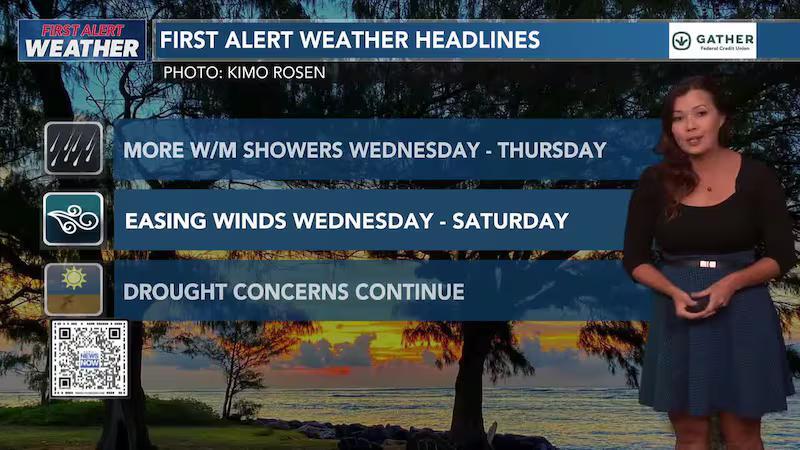 Hawaii County Mayor Kimo Alameda provides the latest on a bus crash in ...