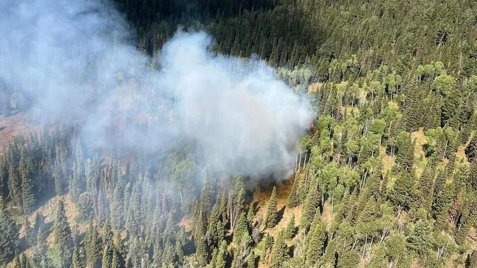 Willow Creek Fire: Crews battling 15-acre wildfire in the Bridger-Teton ...